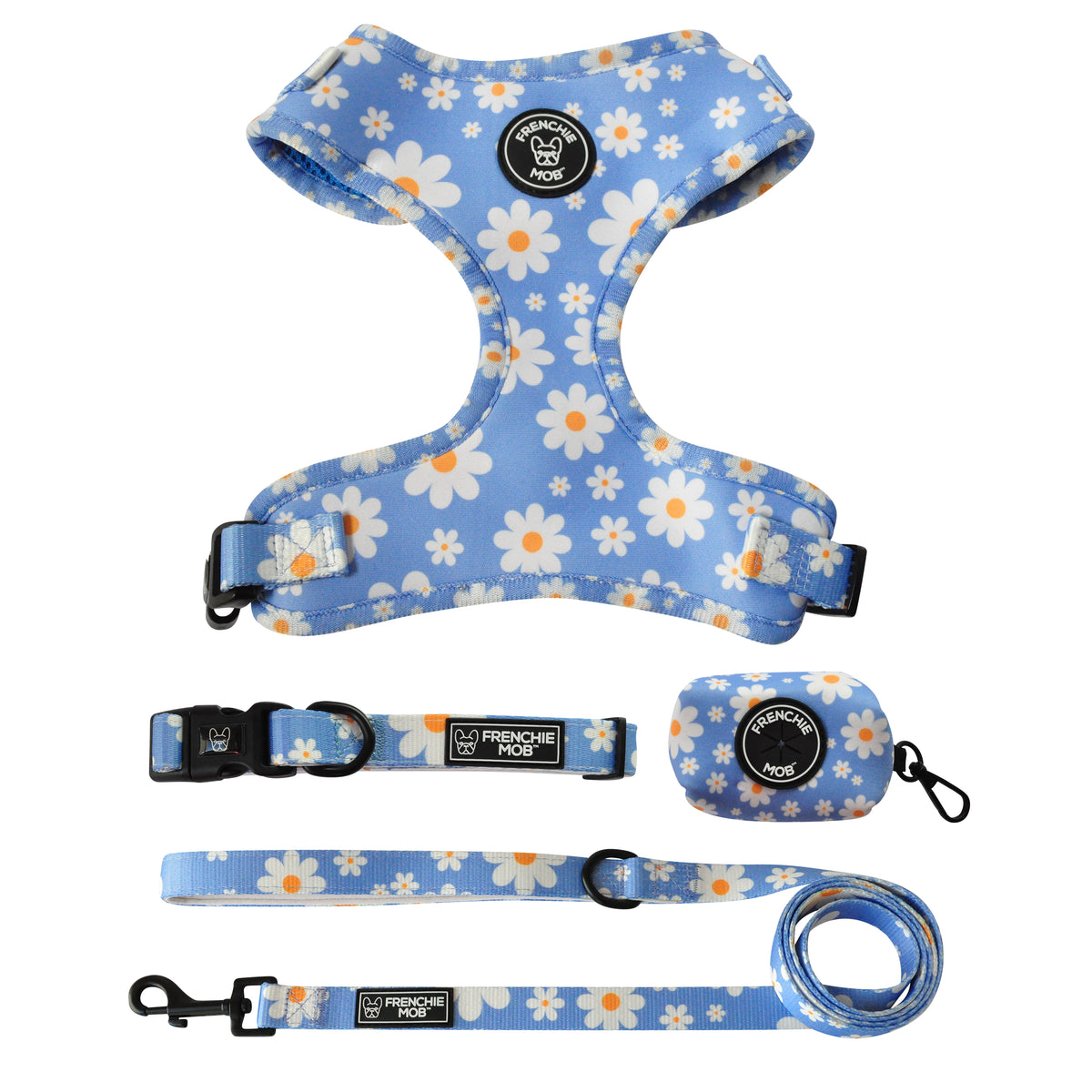 HELLO DAISY TIME BUNDLE SET – Frenchie Mob